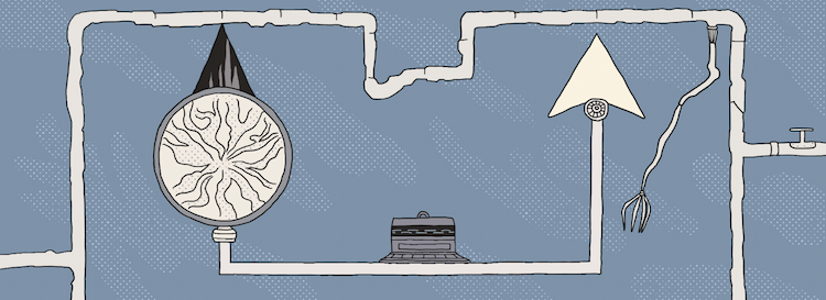 What is IEC 62304 and Why It Matters in SaMD Development | Orangesoft